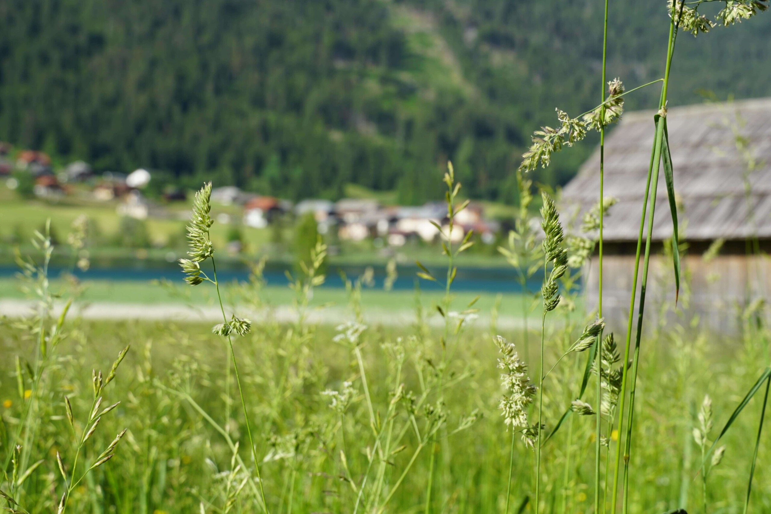 Ostererlebnis für Kinder am Weissensee! - Graz 24 News